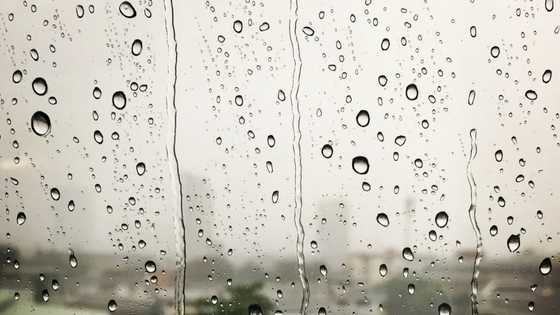 Sierra Leone Mudslide A Result of Intense Rain Storms