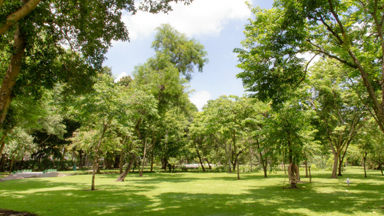 3 Ways to Improve Parks and Recreation Sustainability at your Facility